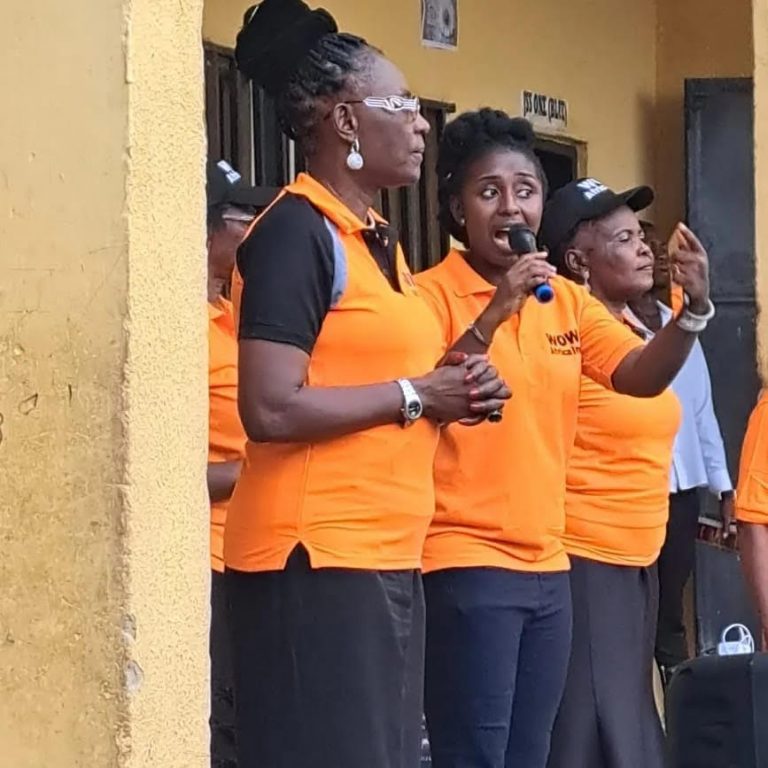 WOW Africa Future Initiative Programs – Worldwide Organization for Women